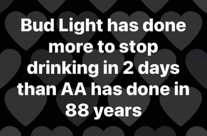 Bud Light Meme Gallery - SnuggleDuck